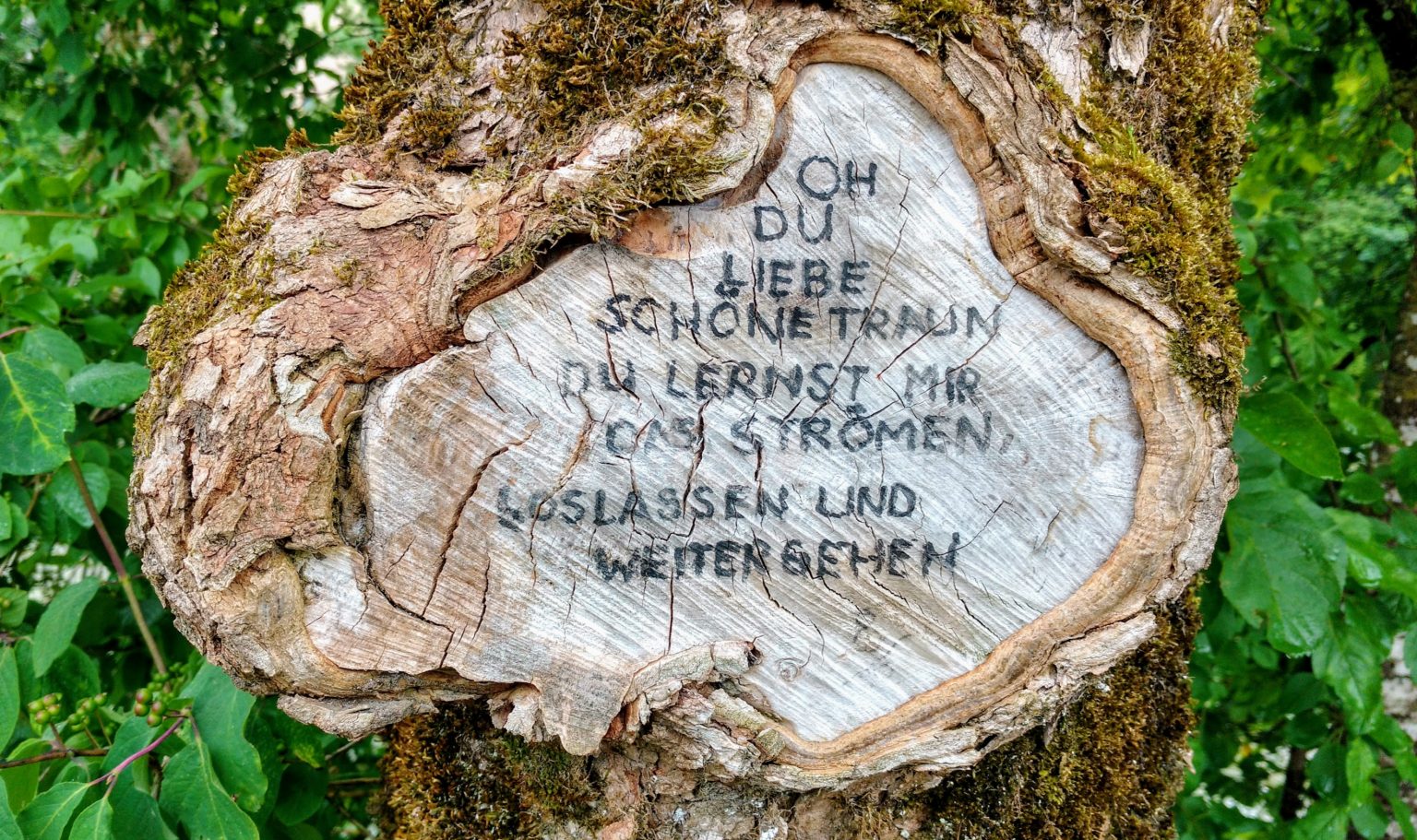 R.I.P. CHRIS REA – DONE FISHING – Fischereimanagement Salzkammergut