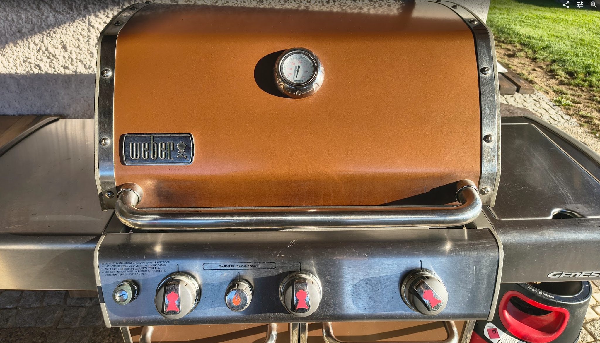 STECKERLFISCH AM GASGRILL – FISCH GEGRILLT – Fischereimanagement ...