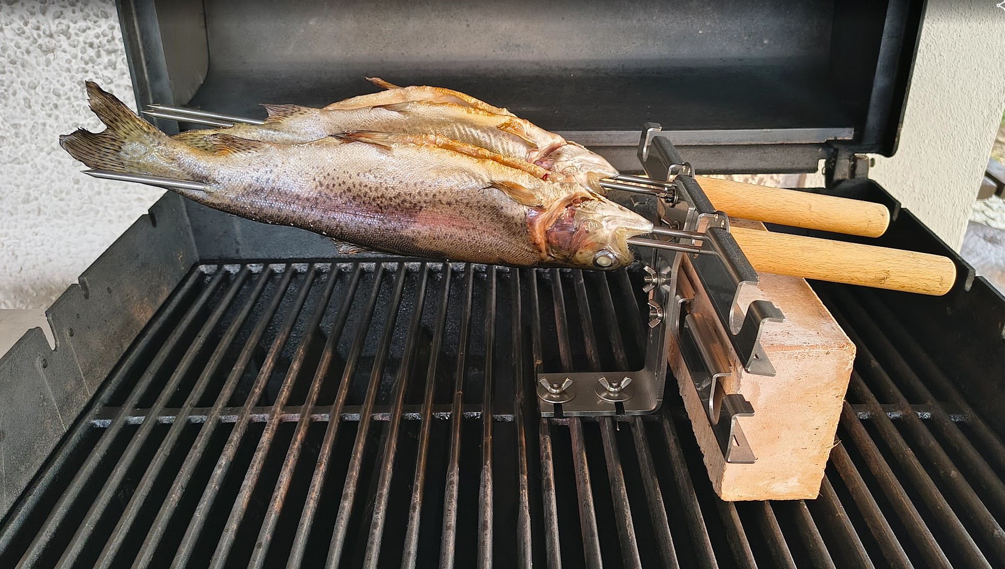 STECKERLFISCH AM GASGRILL – FISCH GEGRILLT – Fischereimanagement ...
