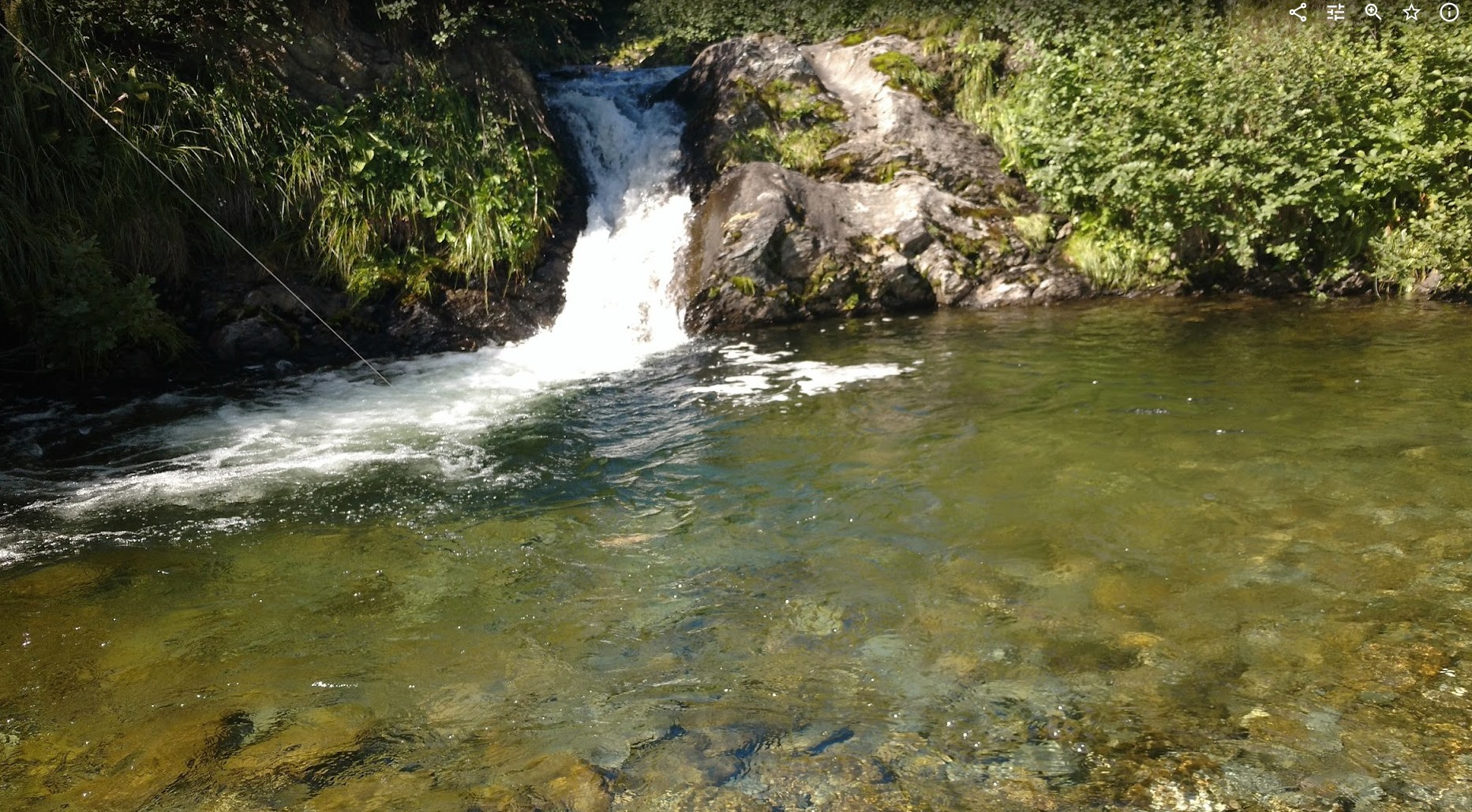 R.I.P. CHRIS REA – DONE FISHING – Fischereimanagement Salzkammergut